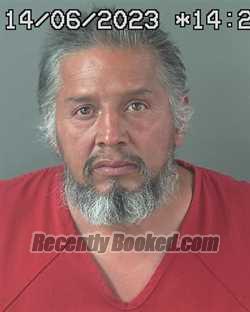 Recent Booking / Mugshot for MARK NELSON MUNOZ in Elko County, Nevada