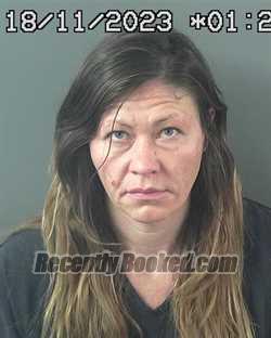 Recent Booking / Mugshot for SARA ANN MURPHY in Elko County, Nevada
