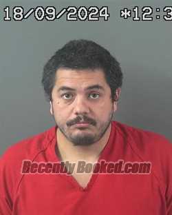 Recent Booking / Mugshot for RICARDO JESUS DEL RIO in Elko County, Nevada