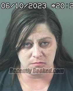 Amber Nicole Holley Mugshot & Arrest Info | Elko County, NV