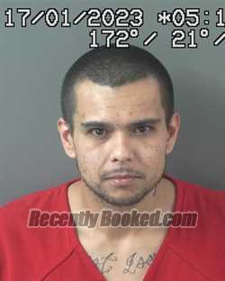 Recent Booking / Mugshot for JESSE JOSEPH REGAN in Elko County, Nevada