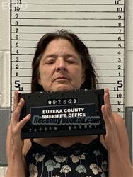 Recent Booking / Mugshot for TERESA LEE STEVENSON in Eureka County, Nevada