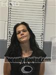 Amber Lynn Drake Mugshot & Arrest Info | Eureka County, NV
