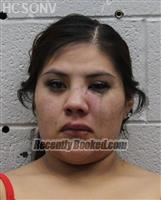 Recent Booking / Mugshot for KRISTAN LONG in Humboldt County, Nevada