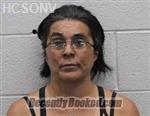 Recent Booking / Mugshot for JESSICA RENEE HUDGINS in Humboldt County ...