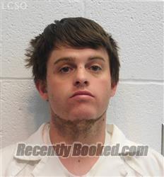 Recent Booking / Mugshot for DILLON CASEY PETERSON in Lander County, Nevada