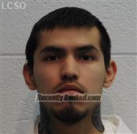 Recent Booking / Mugshot for NATHANIEL ROCKY SALINAS in Lander County ...