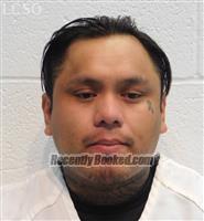 Recent Booking / Mugshot for BRYSON RAY JOHN in Lander County, Nevada