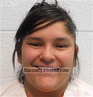 Recent Booking / Mugshot for JAMIE FAYE ROSE in Lander County, Nevada
