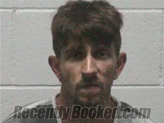 Recent Booking / Mugshot for GORDON ALEXANDER BAYNE in Lyon County, Nevada