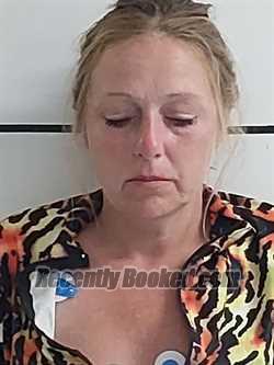 Recent Booking / Mugshot for JENNIFER HARBER in Pershing County, Nevada