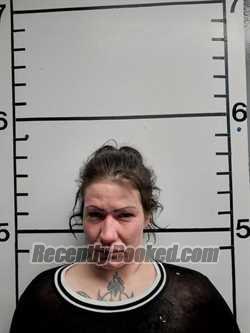 Nicole Marin Arrest & Booking Info | Pershing County, NV