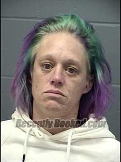 Recent Booking / Mugshot for NICOLE AMANDA TURCOTTE in Belknap County ...