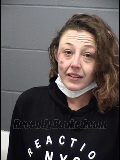 Recent Booking / Mugshot for SHANNAN ELIZABETH LANDRY in Belknap County ...