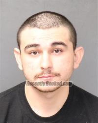 Recent Booking / Mugshot for Aidan Xavier Gallagher in Bernalillo ...