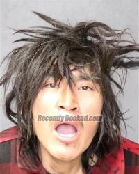 Recent Booking / Mugshot for Cody Harding in Bernalillo County, New Mexico