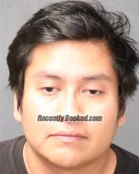 Recent Booking / Mugshot for Sheldon Hogan Begay in Bernalillo County ...