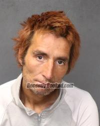 Recent Booking / Mugshot for Chris Ryan Halvorson in Bernalillo County ...
