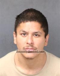 Recent Booking / Mugshot for Domenique Dean Sedillo in Bernalillo ...