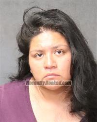 Recent Booking / Mugshot for Marleena Ann Cesspooch in Bernalillo ...
