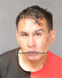 Recent Booking / Mugshot for Ismael Dominguez in Bernalillo County, New ...
