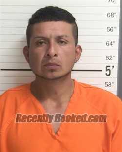 Recent Booking / Mugshot for VICTOR DANIEL RODRIGUEZ-ALTAMIRANO in Curry County, New Mexico