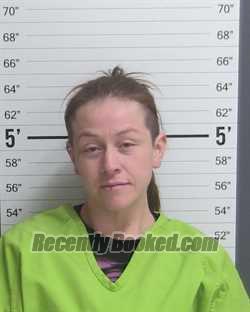 Recent Booking / Mugshot for PATRICIA NATASHA MESSIER in Curry County ...