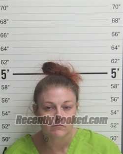 Recent Booking / Mugshot for JESSICA RAE ARNETT in Curry County, New Mexico