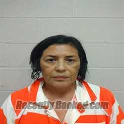 Recent Booking / Mugshot for ANNA VELIA ALLEN in Brown County, Texas