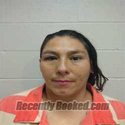 Recent Booking / Mugshot for LESLIE ANN MYERS in Brown County, Texas