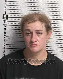 Recent Booking / Mugshot for SARAH VIRGINIA BREWER in Dona Ana County ...