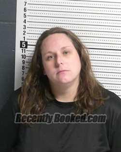 Recent Booking / Mugshot for SARAH BABIN in Dona Ana County, New Mexico