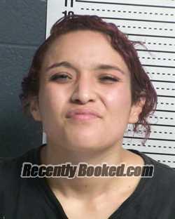 Recent Booking / Mugshot for MYA ELIZABETH FIELDER in Dona Ana County ...