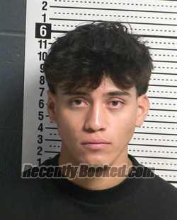 Recent Booking / Mugshot for SAMUEL NATERA-BARRAGAN in Dona Ana County ...