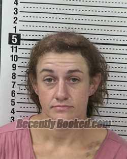 Recent Booking / Mugshot for SARAH VIRGINIA BREWER in Dona Ana County ...