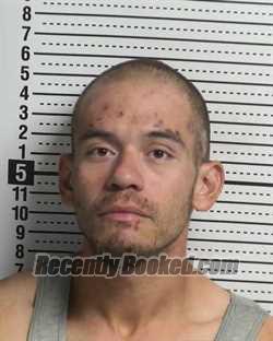 Recent Booking / Mugshot for RAYMOND ESTRADA in Dona Ana County, New Mexico