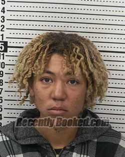 Recent Booking / Mugshot for LIBBY ANN CATTEY in Dona Ana County, New ...