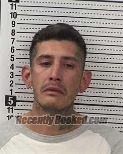Recent Booking / Mugshot for DAVID ALEJANDRO FIGUEROA in Dona Ana ...