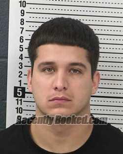 Recent Booking / Mugshot for FABIAN DANIEL TERRAZAS in Dona Ana County ...