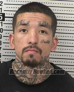 Recent Booking / Mugshot for JOSEPH RAY TRUJILLO in Dona Ana County ...