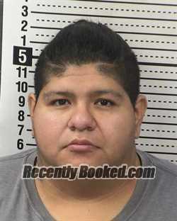 Recent Booking / Mugshot for ELIZABETH RAMIREZ in Dona Ana County, New ...