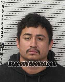 Recent Booking / Mugshot for SAUL SAMUEL FRIAS-BRACAMONTES in Dona Ana ...