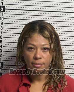 Recent Booking / Mugshot for MARIA ELENA GUZMAN ZUNIGA in Dona Ana ...