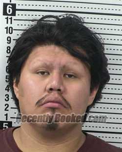 Recent Booking / Mugshot for PATRICK DENNY in Dona Ana County, New Mexico