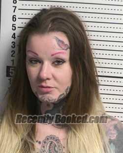 NICOLE R BAEHRING Arrest Record & Booking Info – Dona Ana County, New ...