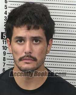 Recent Booking / Mugshot for DOMINIC FERRALES CHAVEZ in Dona Ana County ...