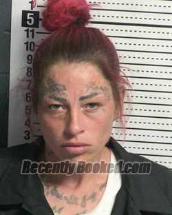 Recent Booking / Mugshot for JENNIFER ROBINETTE in Dona Ana County, New ...