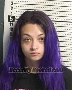 Recent Booking / Mugshot for BROOKE JAY MARIE SHOEMAKER in Dona Ana ...