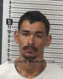 Recent Booking / Mugshot for LUIS ALEJANDRO MARTINEZ-TORRES in Dona Ana County, New Mexico