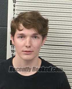 Recent Booking / Mugshot for DOMINIC LUCHETTI in Dona Ana County, New ...